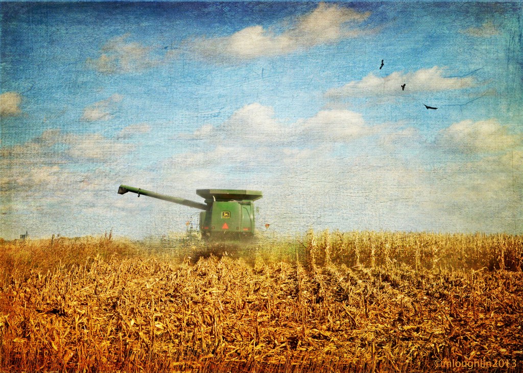 Turns out those old-fashioned ways of farming were actually pretty ...