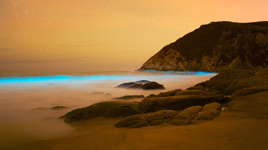 These photos of glowing beaches are seriously stunning | Grist