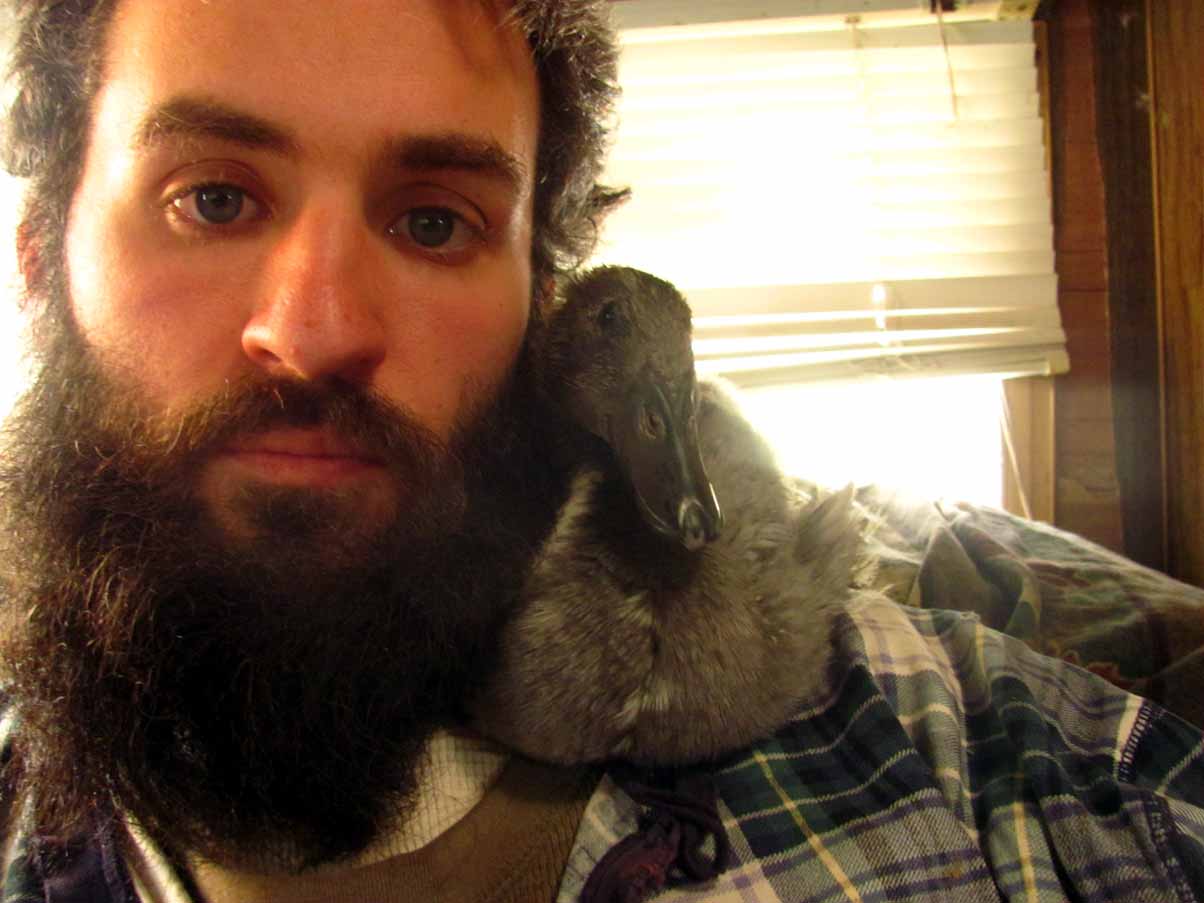 This guy raised a duckling under his beard | Grist