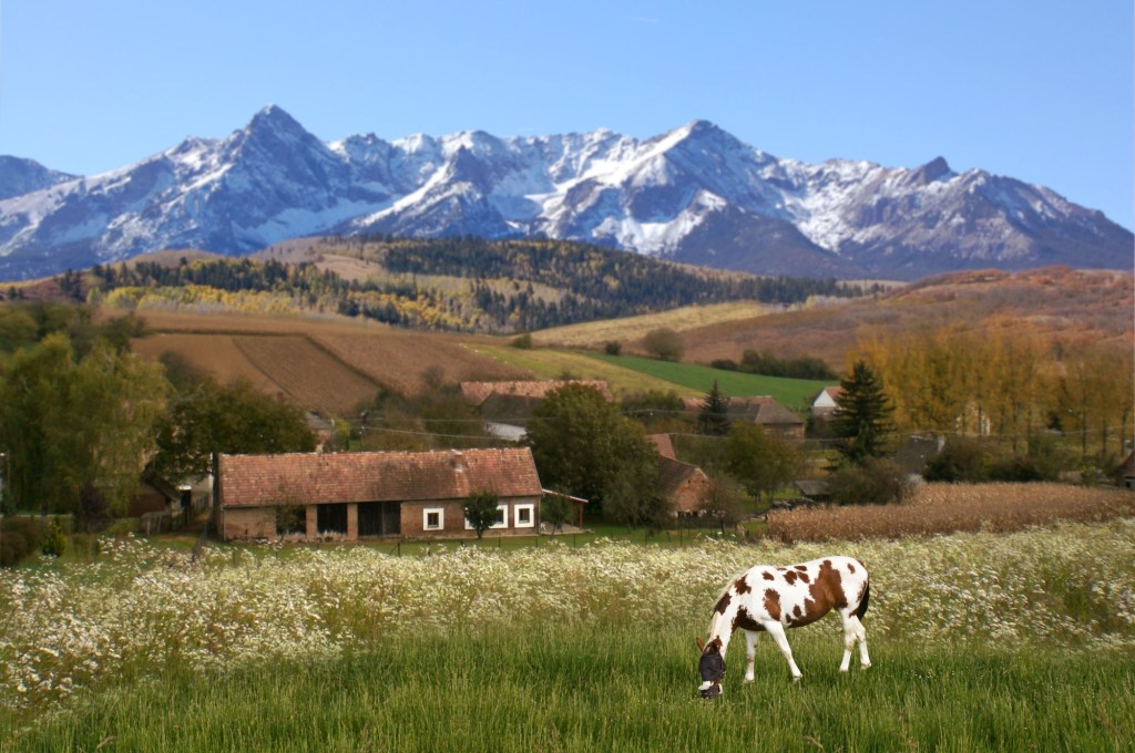 Finally, a GMO debate without shouting | Grist