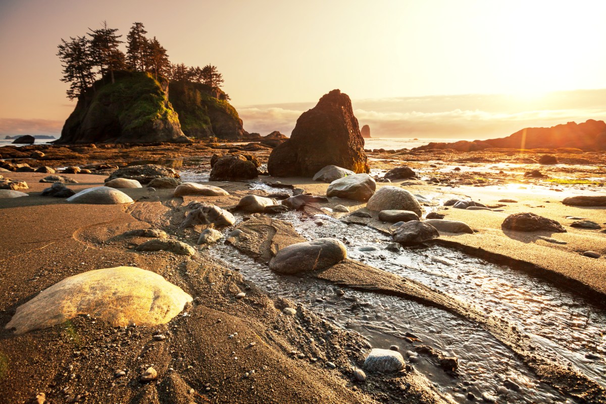 Watch this scientist fight climate change on the gorgeous Olympic Coast ...