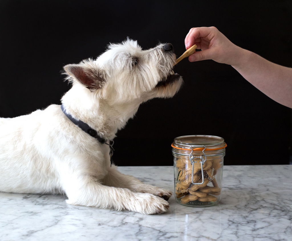 How to make homemade dog biscuits | Grist
