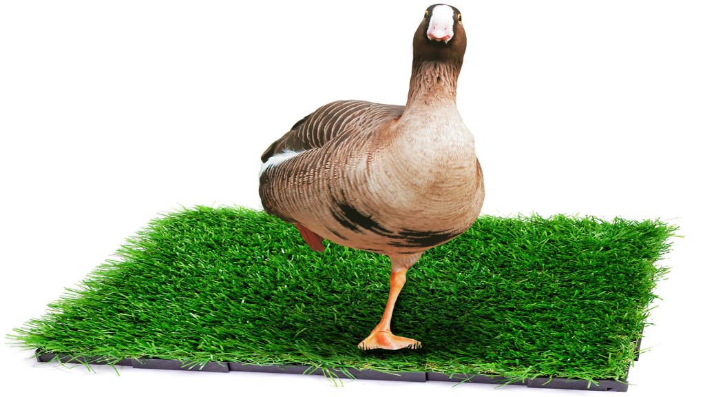 EPA's next challenge: Protect communities in nation's industrial ...