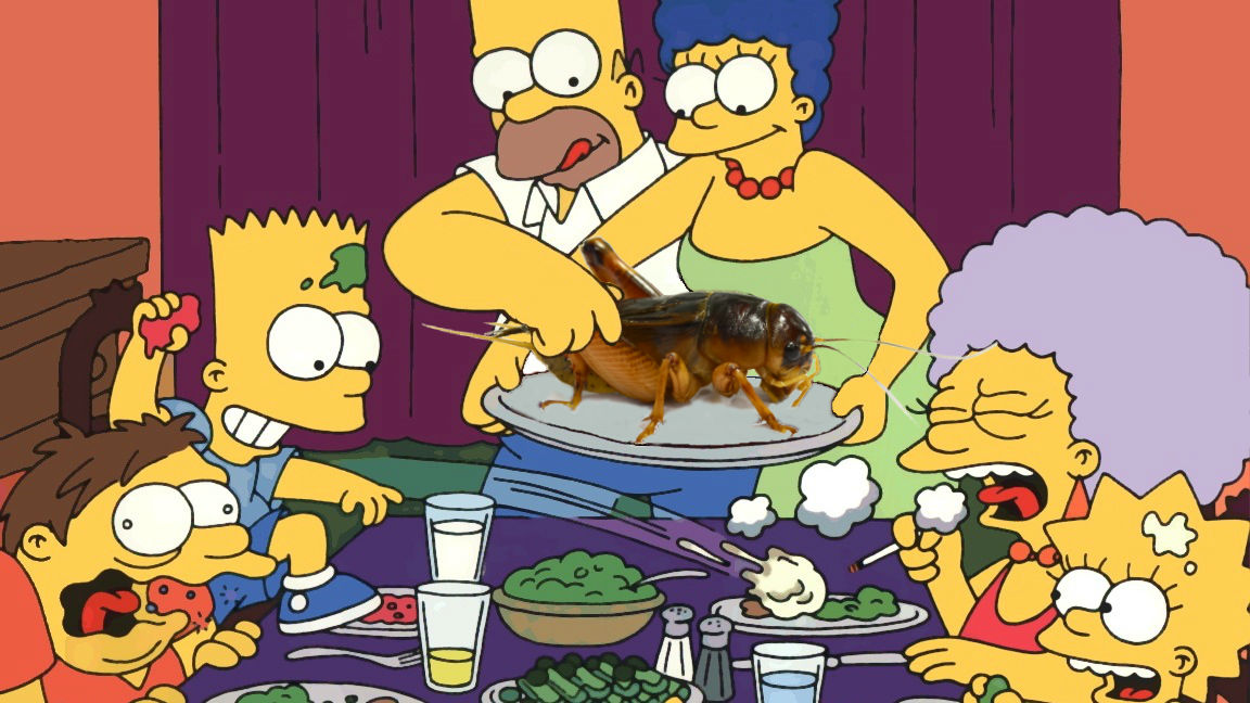 Want to know what the future tastes like? Eat some bugs | Grist