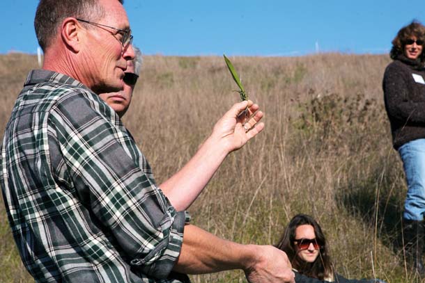 California ranchers tackle the climate crisis one pasture at a time | Grist