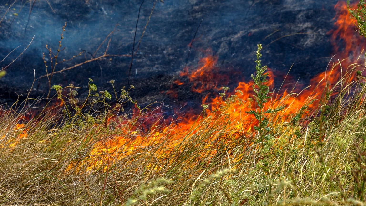 This is how much America spends putting out wildfires | Grist