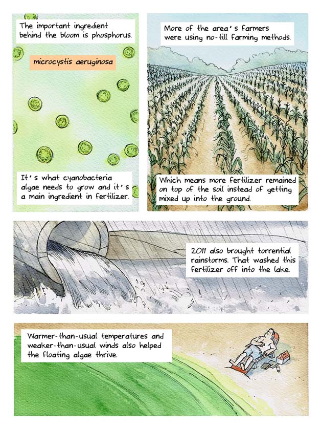 This comic strip explains why we could see more disasters like Toledo's ...