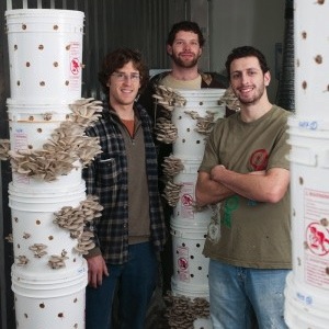 Why Oregon is doing mushrooms right | Grist