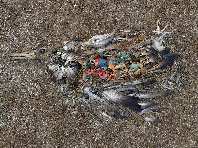 These artists turn ocean trash into really classy art | Grist