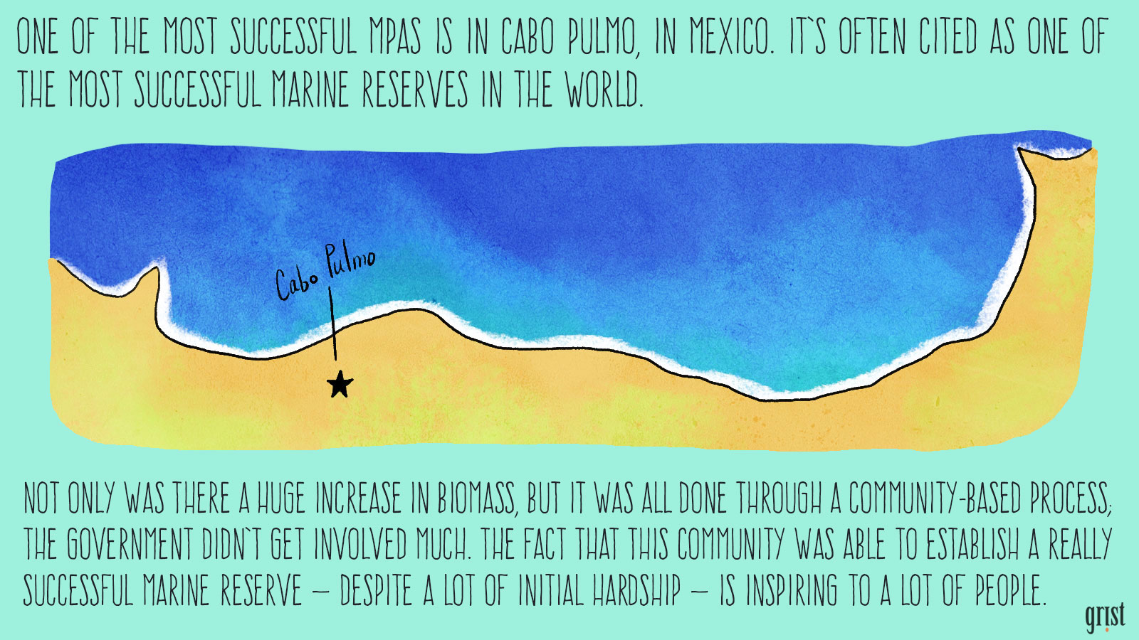This illustrated guide makes marine protected areas fascinating | Grist