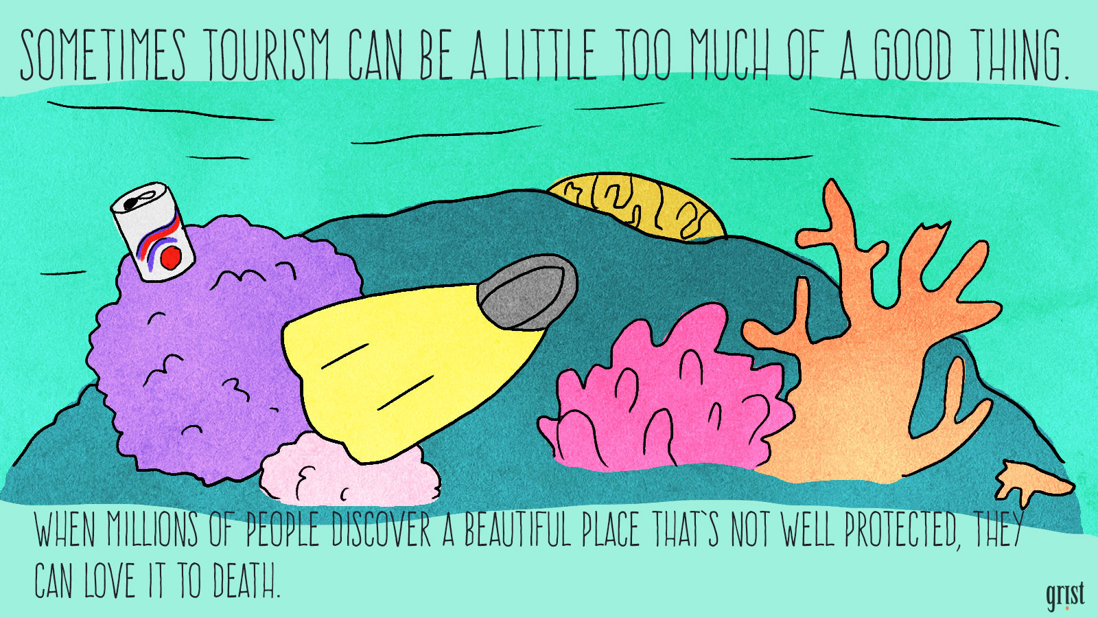 This illustrated guide makes marine protected areas fascinating | Grist