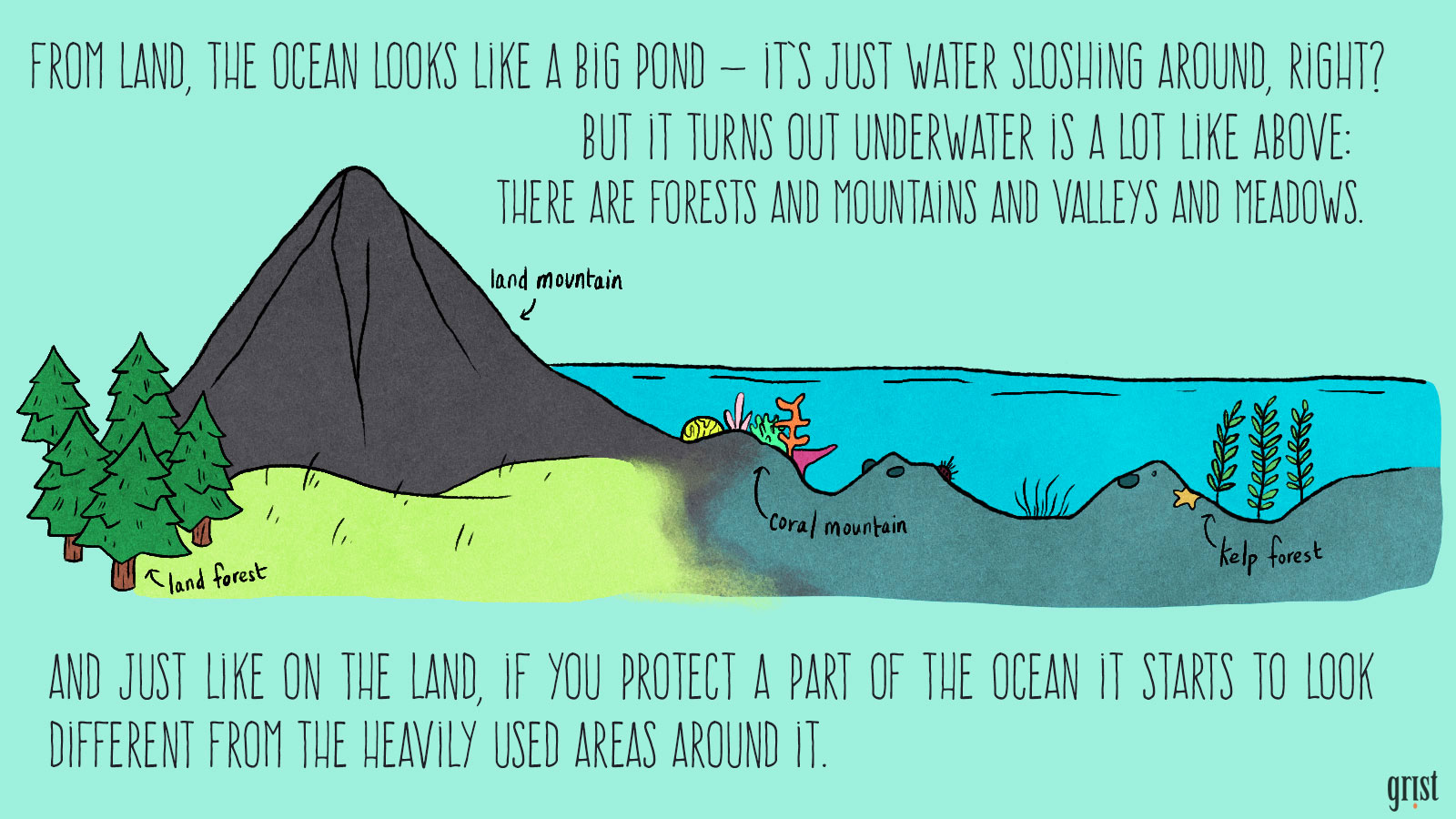 This illustrated guide makes marine protected areas fascinating | Grist