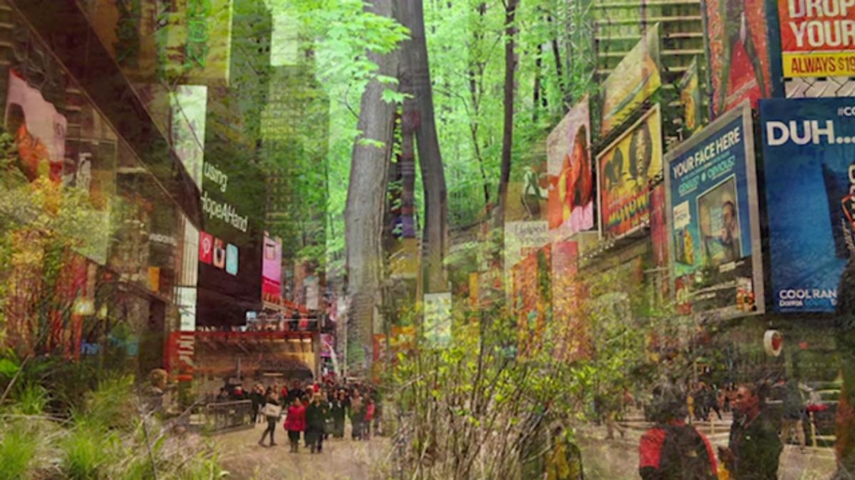 This ecologist wants to plant a "pop-up" forest in Times Square | Grist