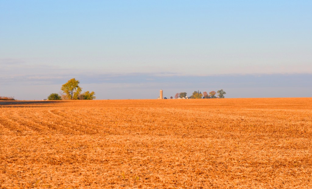 Young, single farmer seeks same -- and it's not easy | Grist
