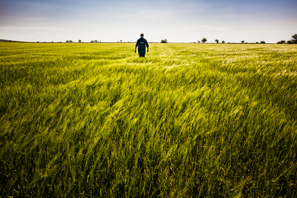 Without Farmers Backgrounds