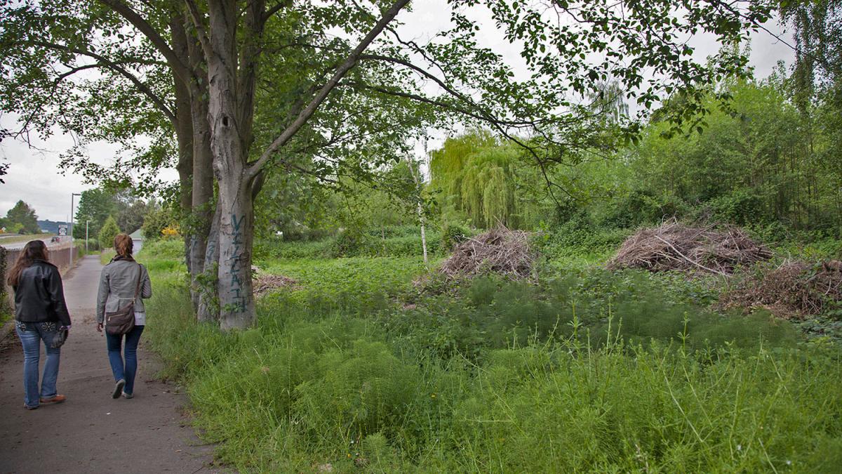 One mom's fight to make Seattle's most polluted neighborhood greener ...