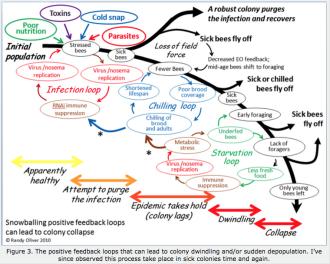 Why are bees hurting? A lineup of suspects | Grist