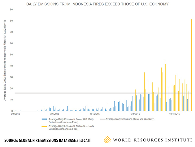 Indonesia's huge fires might be the worst climate change crisis on ...