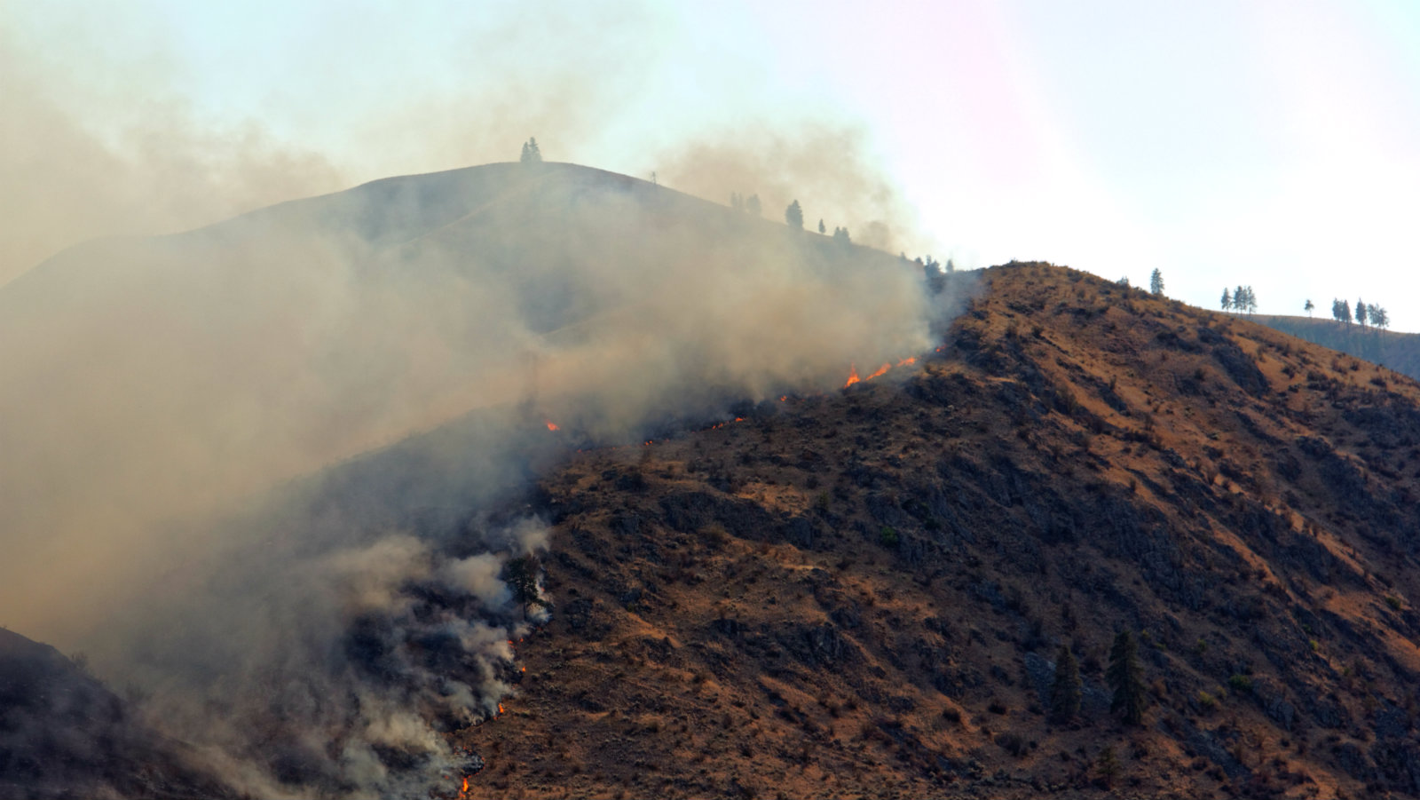 We just had a record-breaking wildfire season. Is that climate change ...
