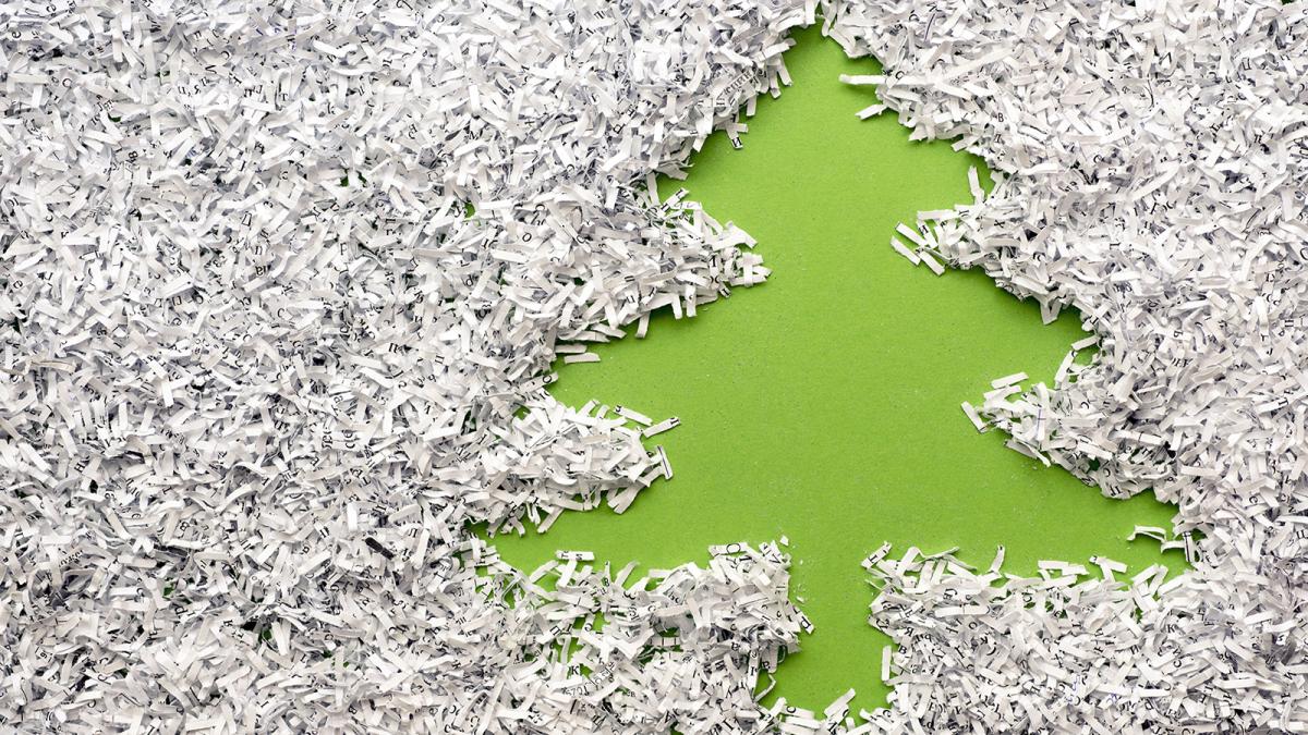 How to get rid of Christmas garbage, from lights to mistletoe | Grist