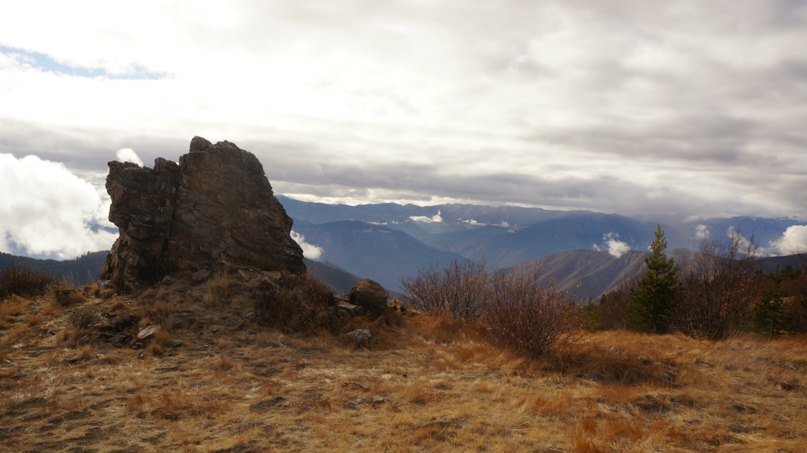 We just had a record-breaking wildfire season. Is that climate change ...