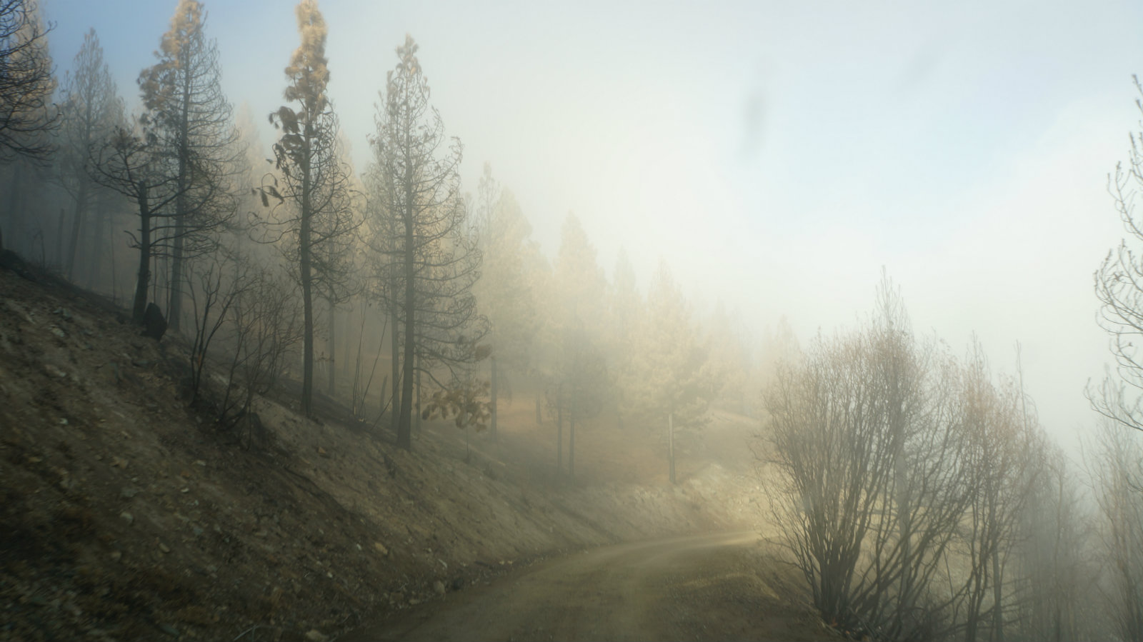 We just had a record-breaking wildfire season. Is that climate change ...