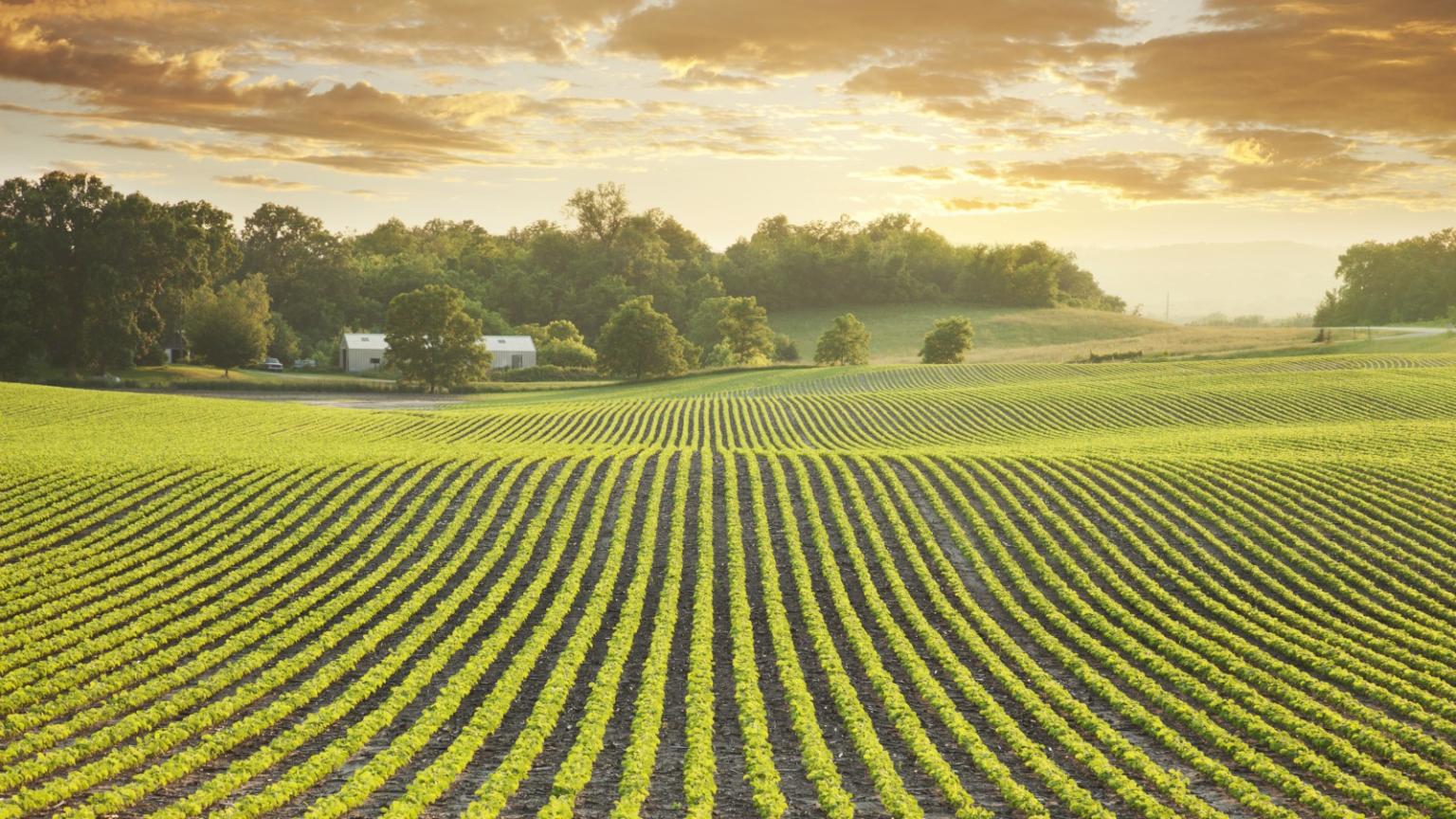 How will Midwest farmers prepare for the impact of climate change? | Grist