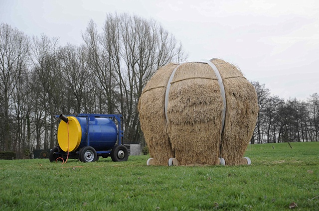 The wacky, messy tale of the man who just wanted to make a dog poop ...