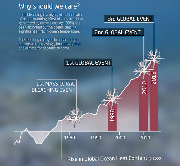 Corals are in the middle of a "global bleaching event." Here's what ...
