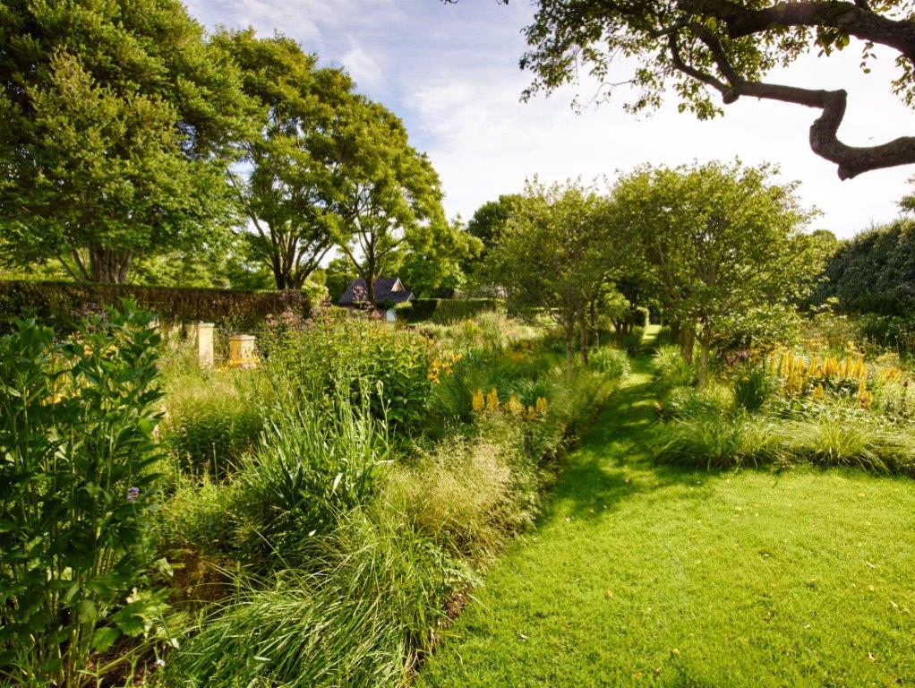 This landscape architect is the bra burner of lawn design | Grist