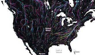 Beautiful map shows the future of animal migration | Grist