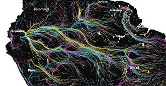 Beautiful map shows the future of animal migration | Grist