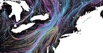 Beautiful map shows the future of animal migration | Grist