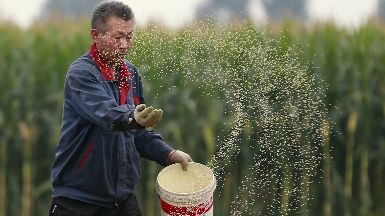 China’s $450 billion farm plan could determine our fate | Grist