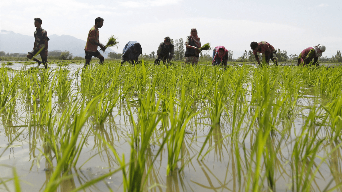 How do we fight poverty without wrecking the planet? | Grist