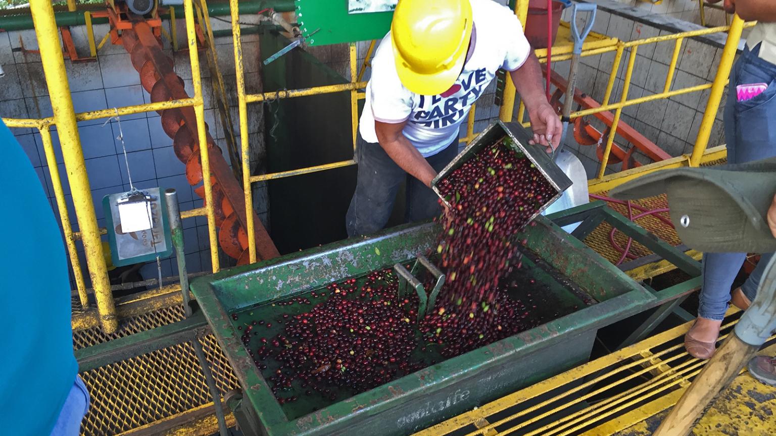 Costa Rica modernized without wrecking the environment. Here’s how. | Grist