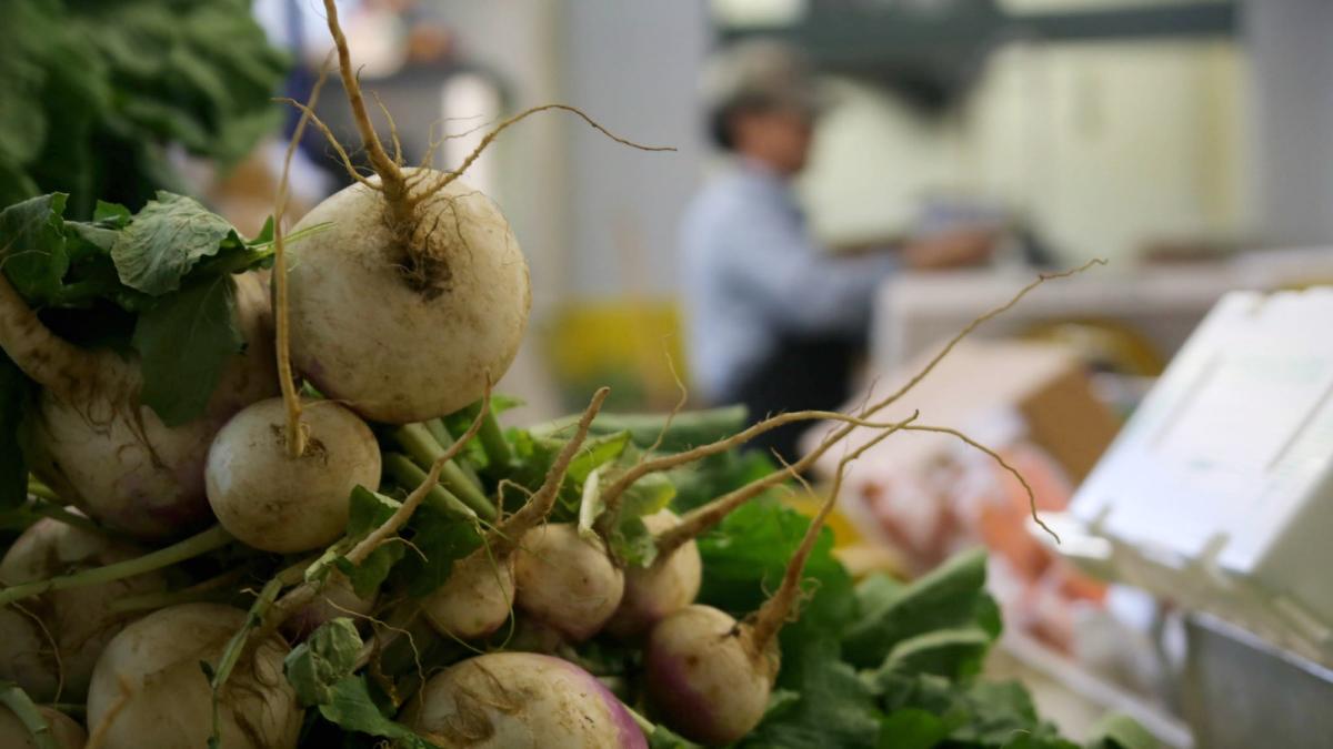 What the humble turnip can teach us about economic growth | Grist