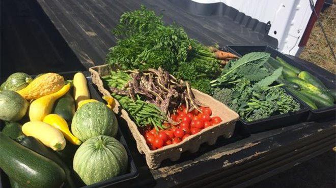 Many Native Americans lack access to healthy food, but there's a ...