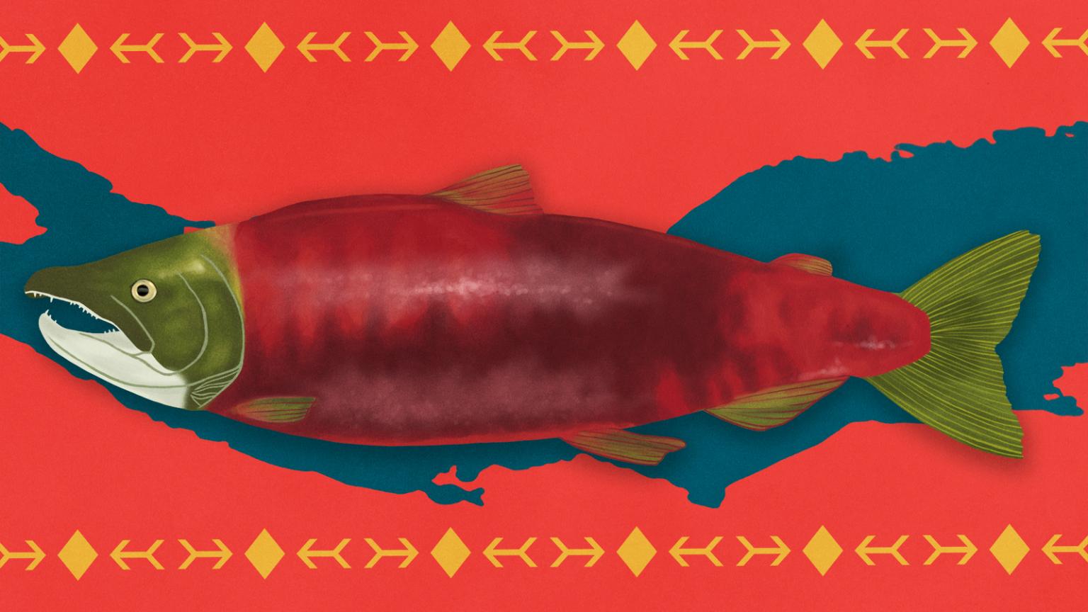 Native Americans caught salmon here for millennia. Now the world is ...