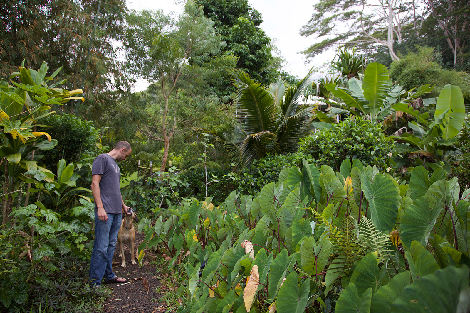 Welcome to Paradise: Batteries Now Included | Grist