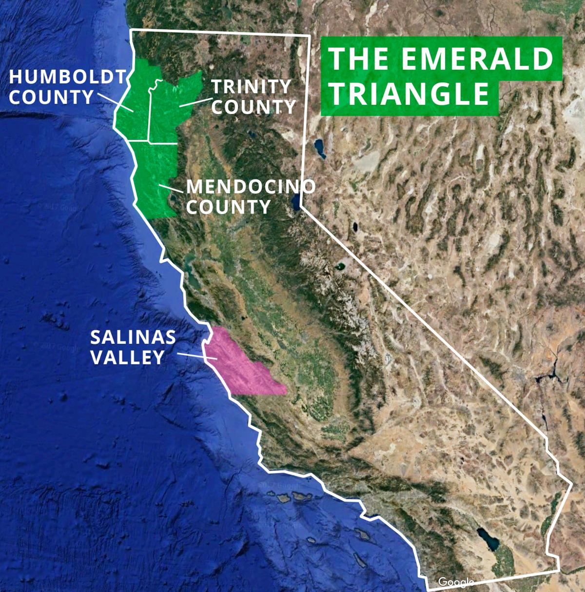 The High Price of Cheap Weed | Grist