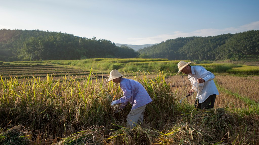 There's been a mysterious rise in ozone-destroying emissions | Grist