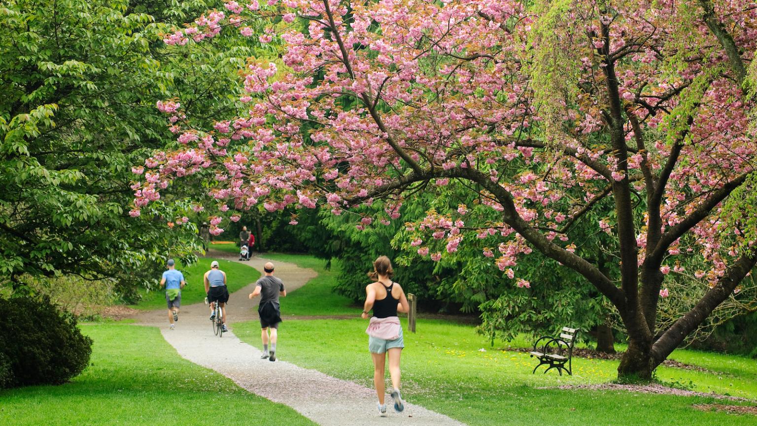 Carbon offsets for urban trees are on the horizon | Grist
