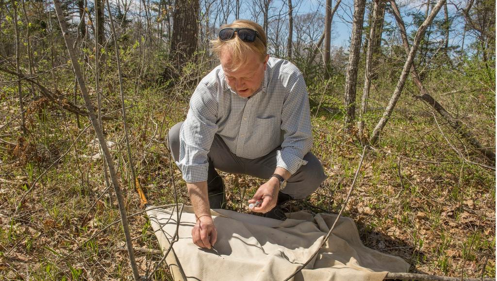 As ticks spread, the US edges closer to understanding the reach of Lyme ...