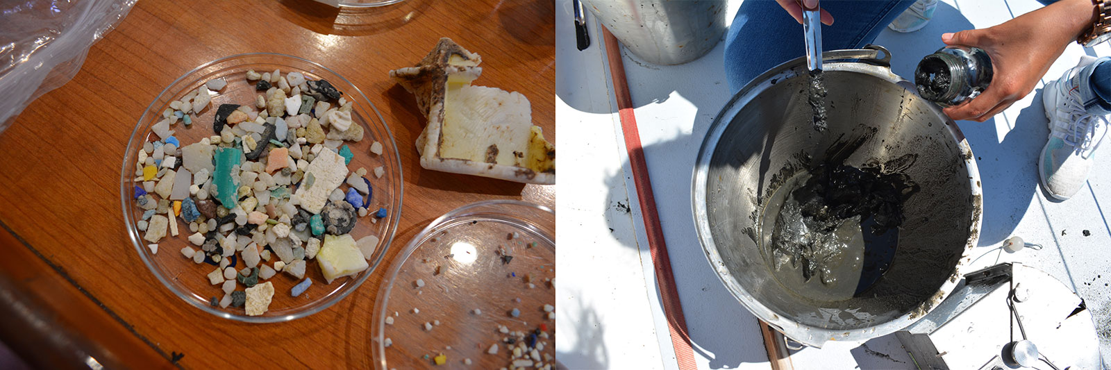 Plastic has changed our environment. How has it changed us? | Grist