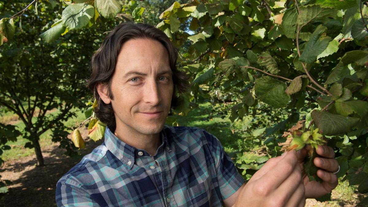 How to protect our food from a crazy climate? Consider the hazelnut ...