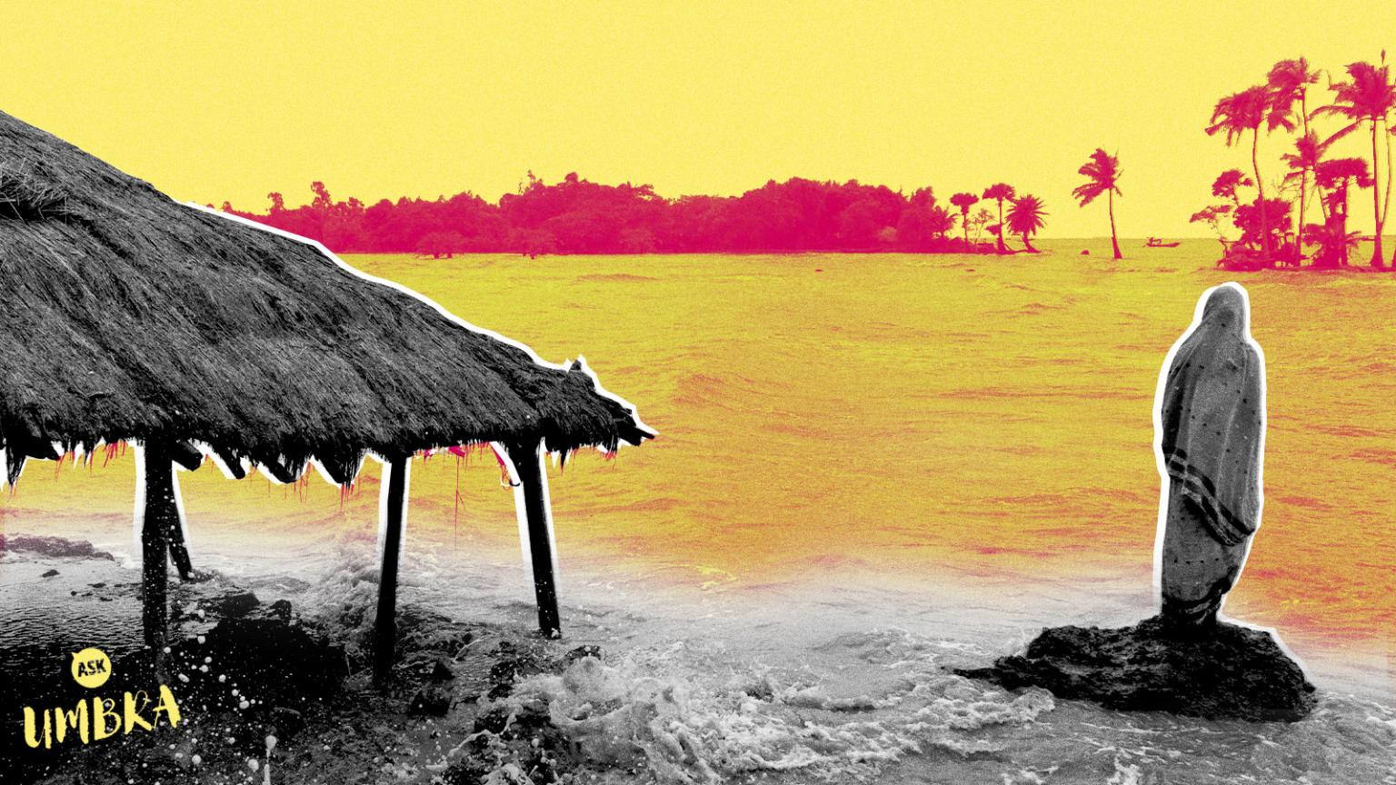 What is a 'climate refugee' and how many are there? | Grist