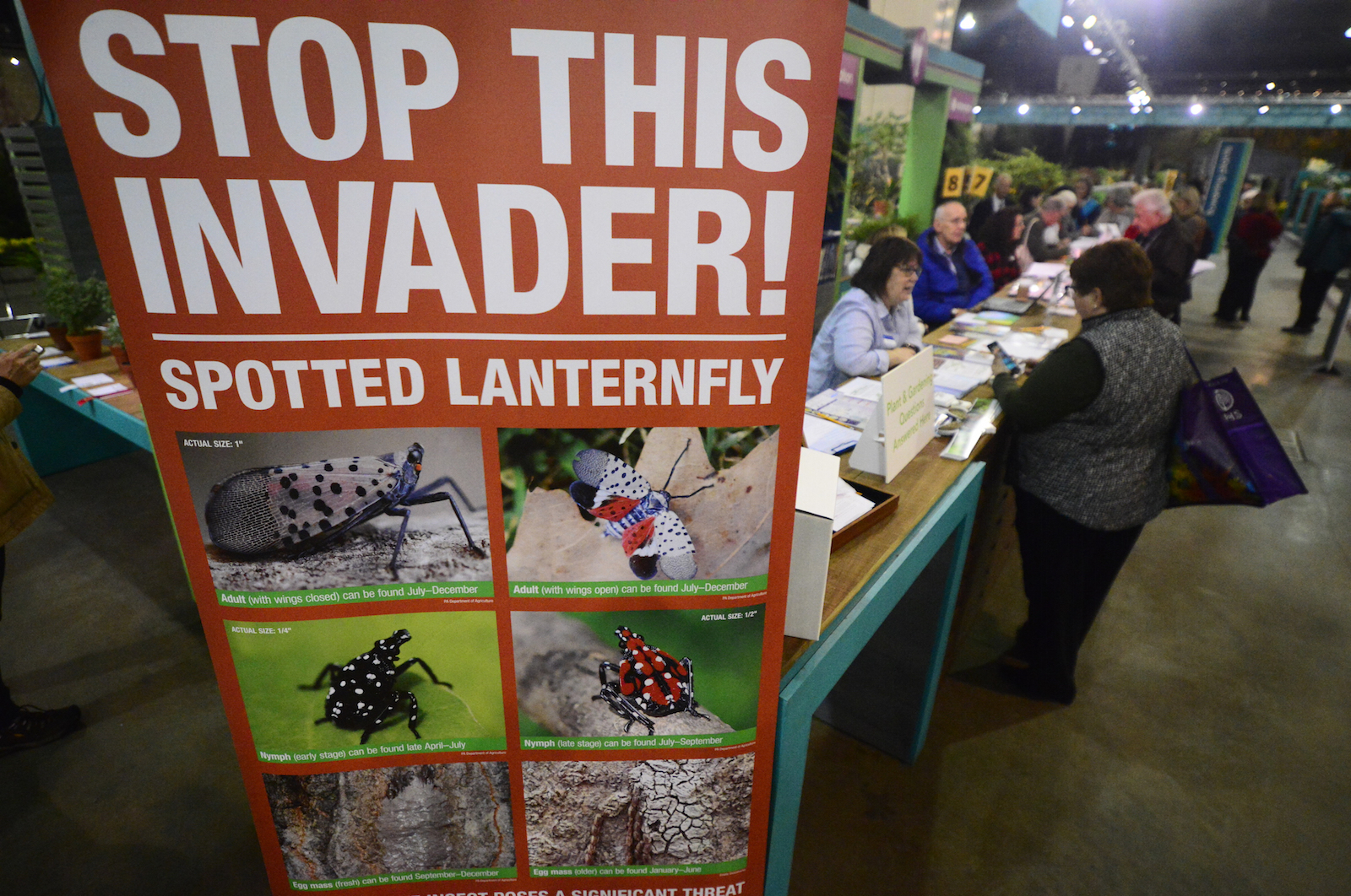 This invasive bug is terrorizing Pennsylvania growers (and it’s coming ...