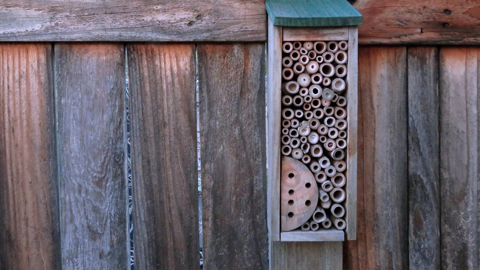 These Girl Scouts are saving wild bees, one ‘hotel’ at a time | Grist