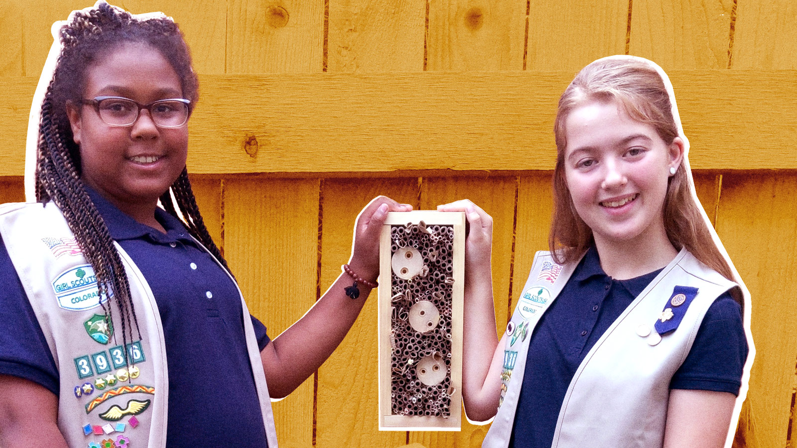 These Girl Scouts are saving wild bees, one ‘hotel’ at a time | Grist